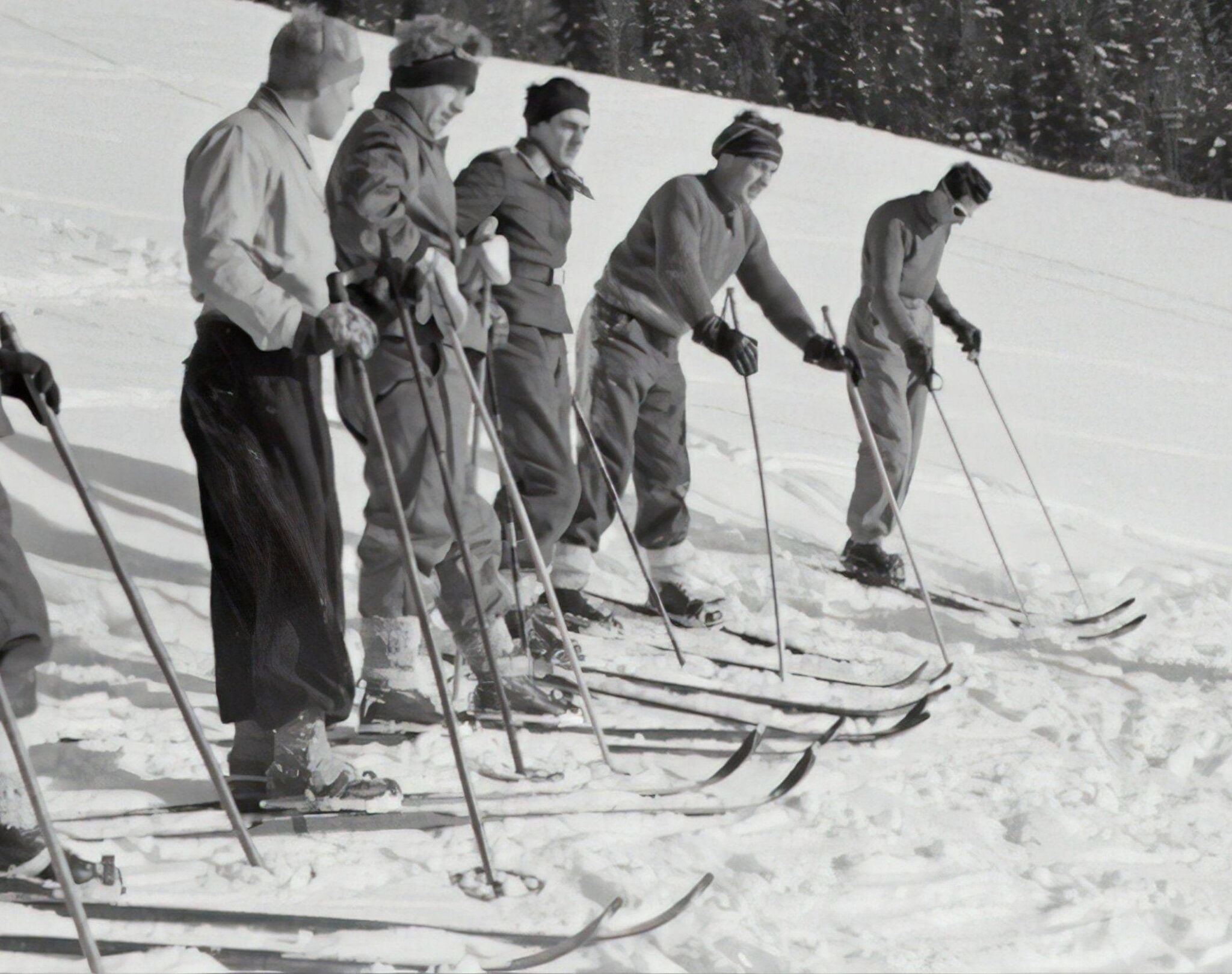 Les différents types de ski : ski alpin, ski de fond