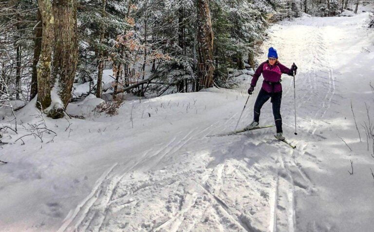 Les différents types de ski : ski alpin, ski de fond